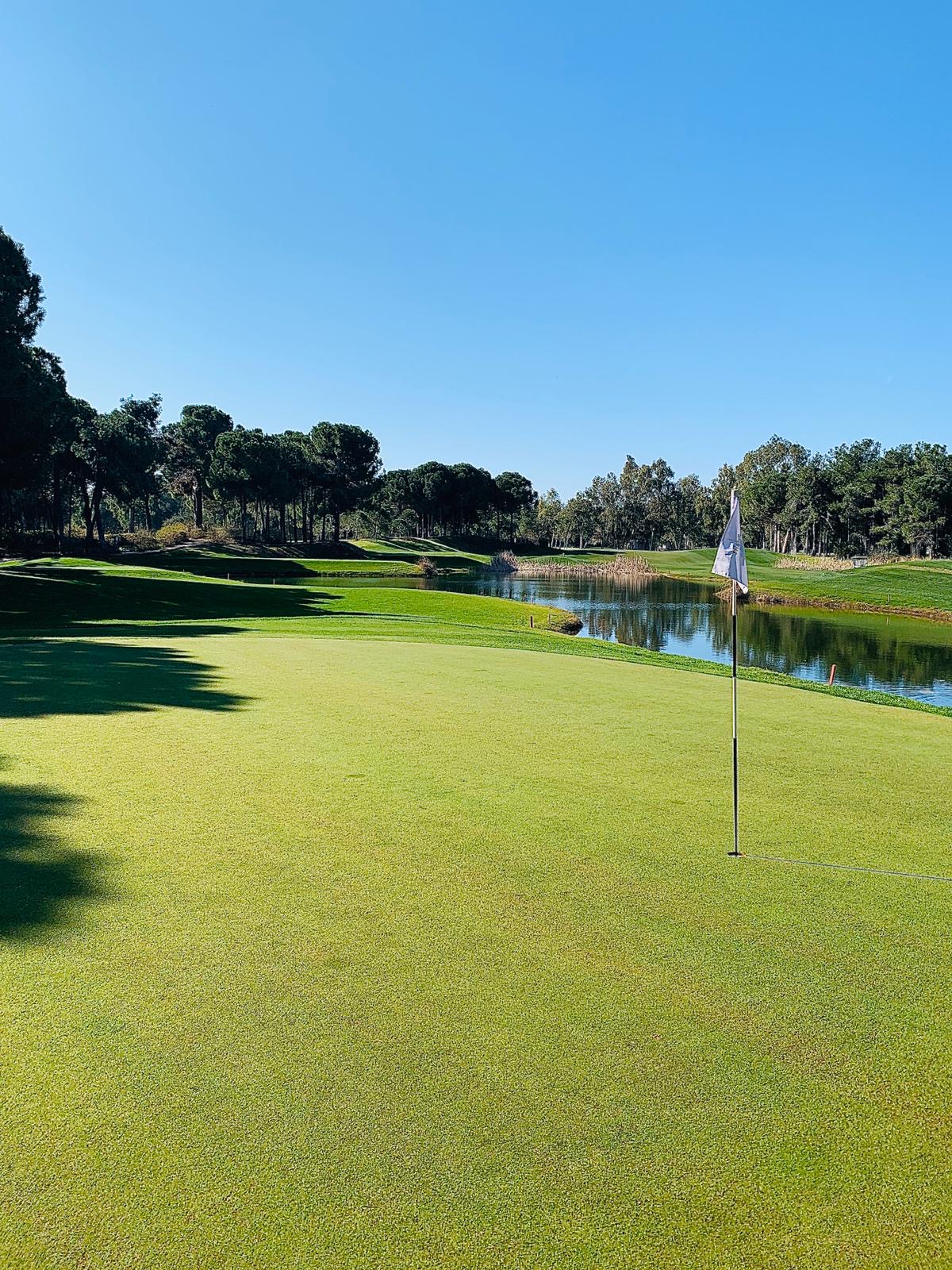 Winter Golf Coaching: Keep Your Swing Sharp All Season | AOS Golf Coaching